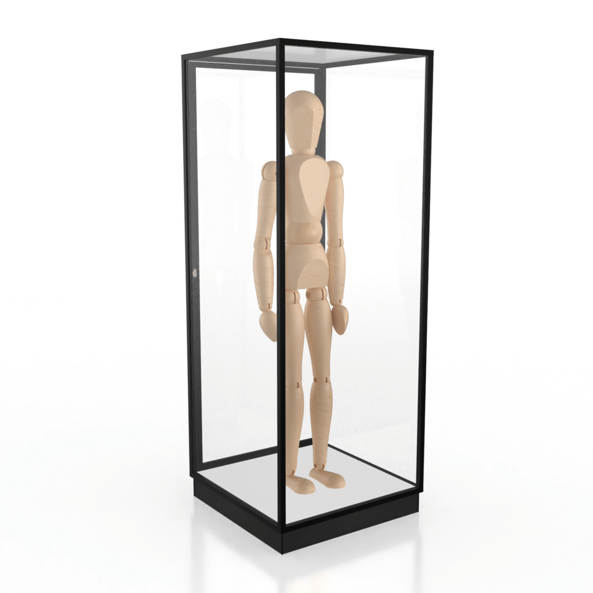 Mannequin Display Case