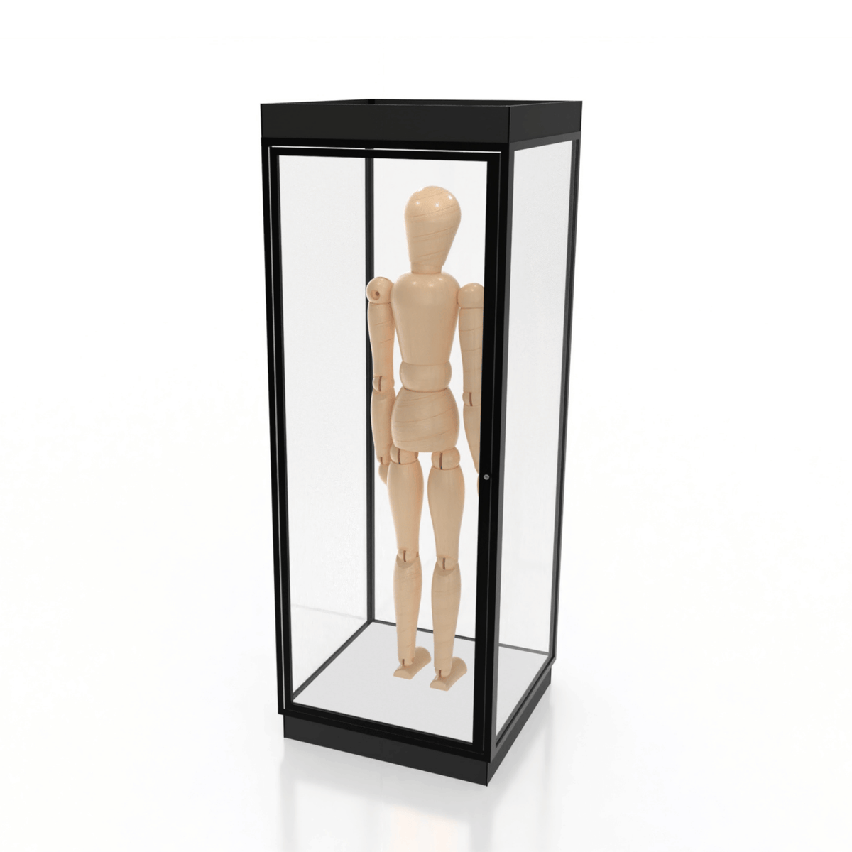 Mannequin Display Case